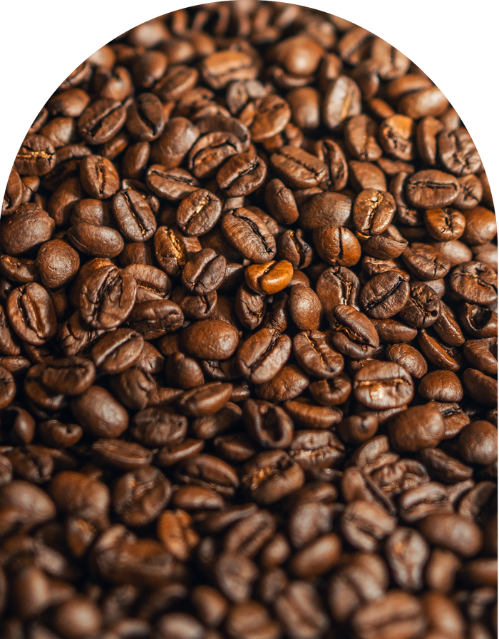 Modern Italian Coffee - Signature Blend 500g | Caffe Ducale – Caffè Ducale